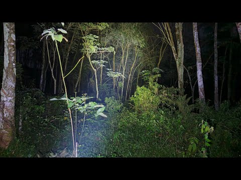 Live Misteri‼️Gawat... Lokasi Pasar Setan Di Sabotase Haters Ngajak Adu Ilmu