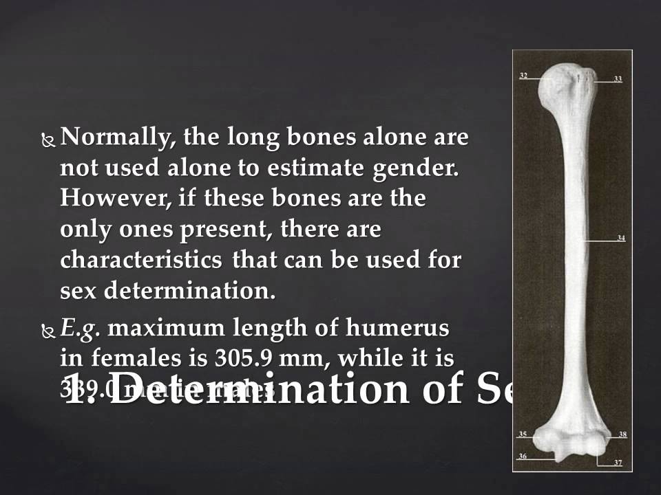Determining Sex Youtube