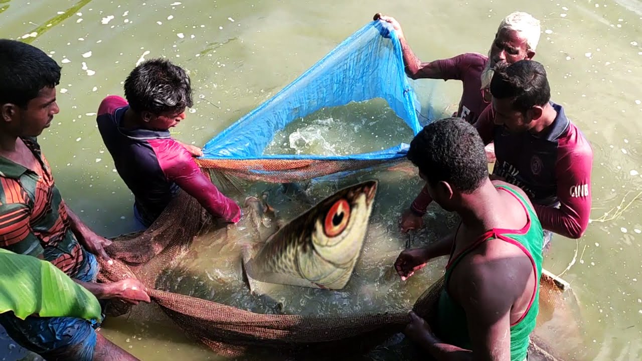 Fishing Video - Real life fishing Video in Pond - YouTube