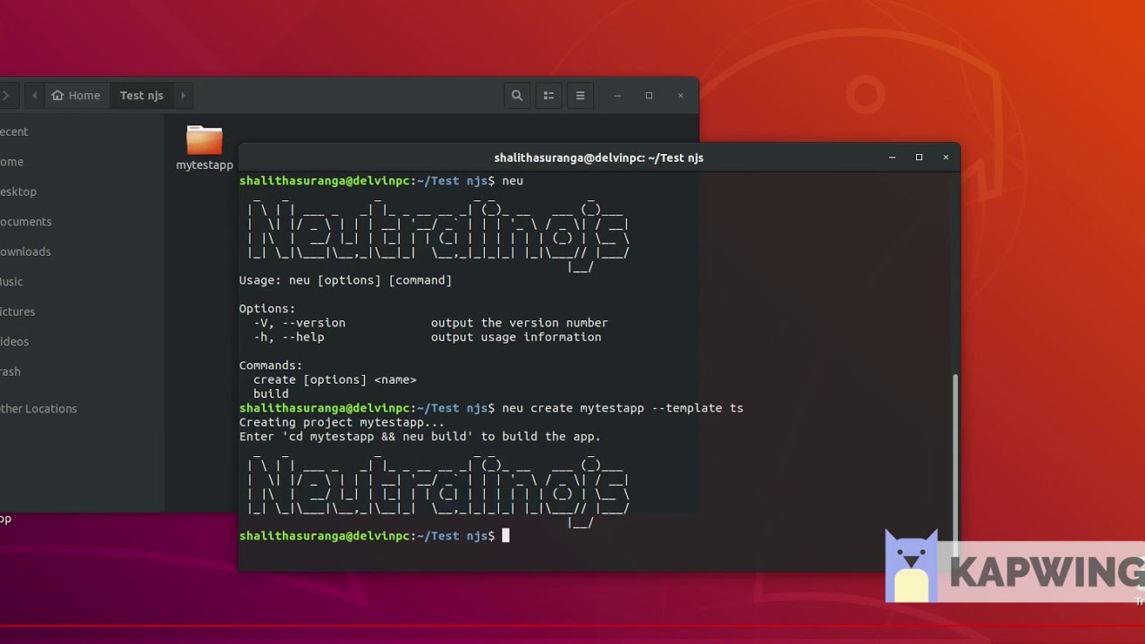 How to write Neutralinojs apps with TypeScript using neu CLI - YouTube