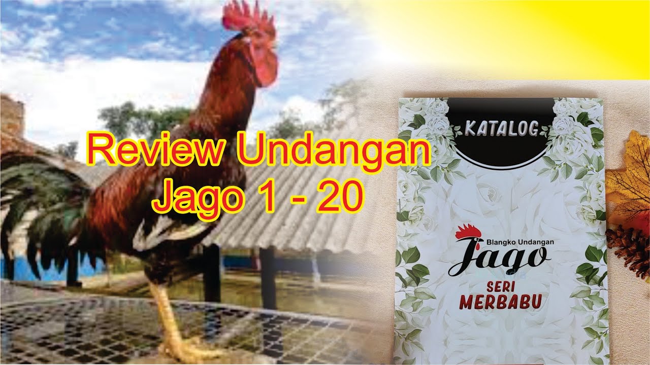 Review Katalog Undangan JAGO 1 - 20 | Katalog Undangan Murah - YouTube
