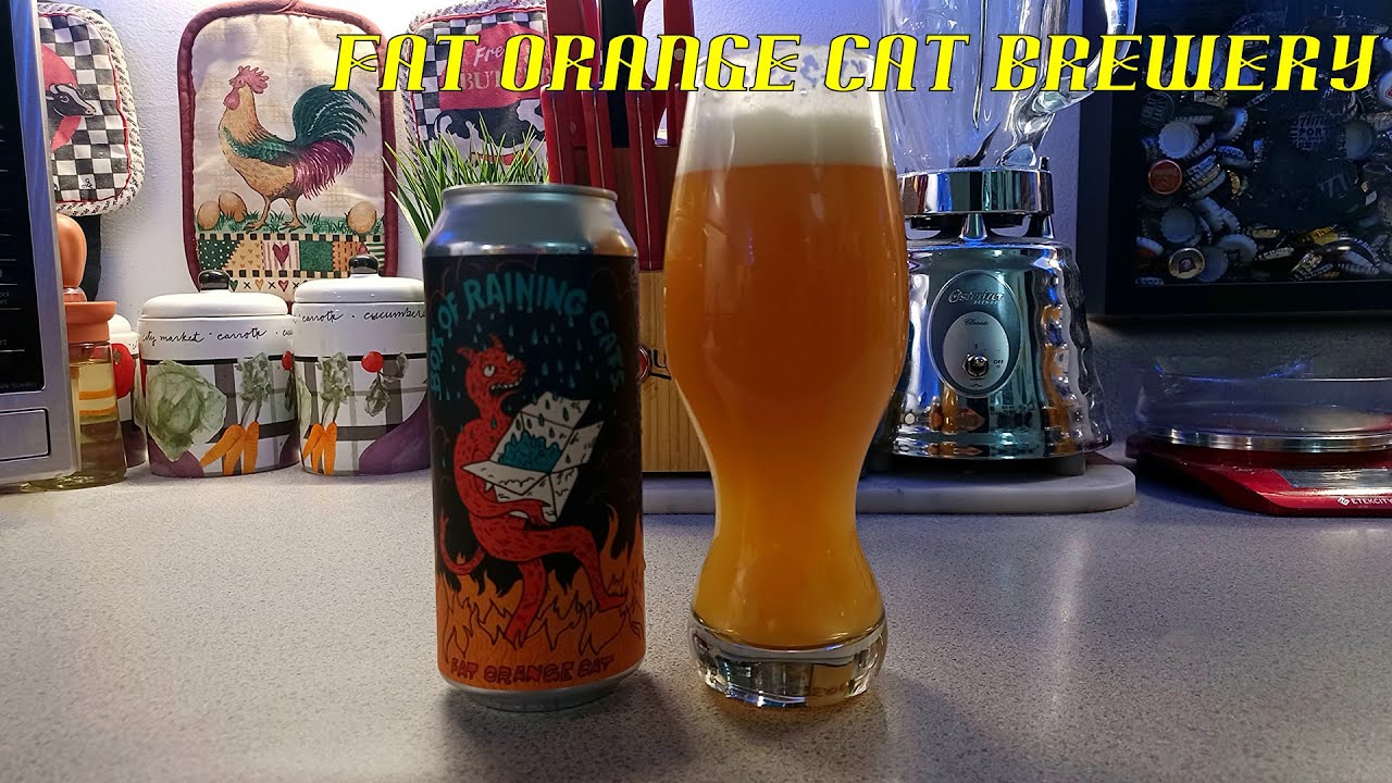 Fat Orange Cat Brewery ~ Box of Raining Cats NEIPA - YouTube