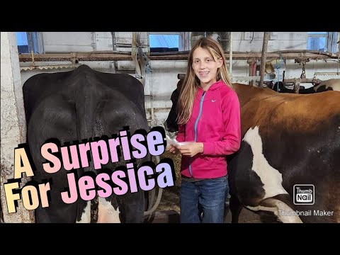 A Surprise for Jessica!/Milking Cows on our Small Dairy/Bentleyville ...