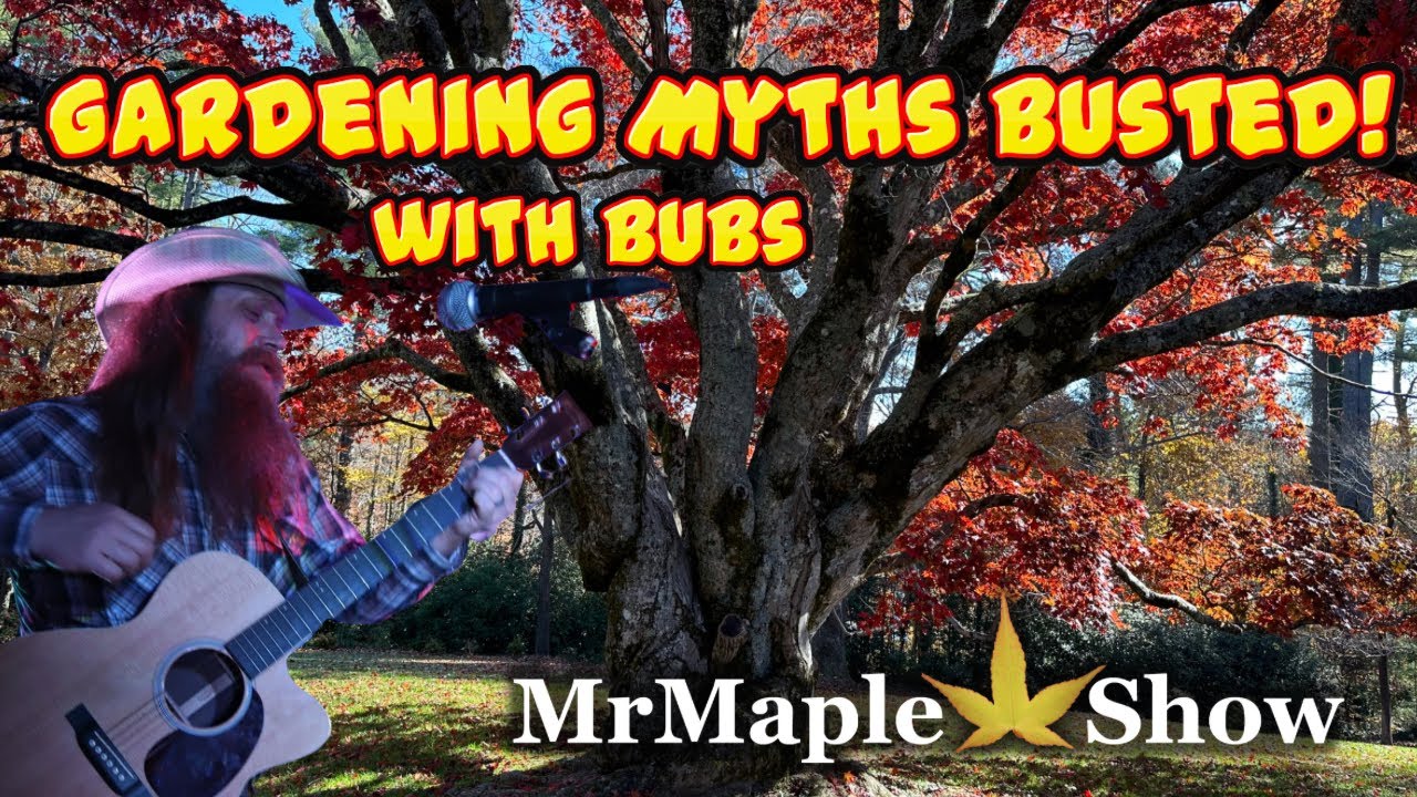Gardening Myths Busted | Garden Fact Check with Bubs! - YouTube