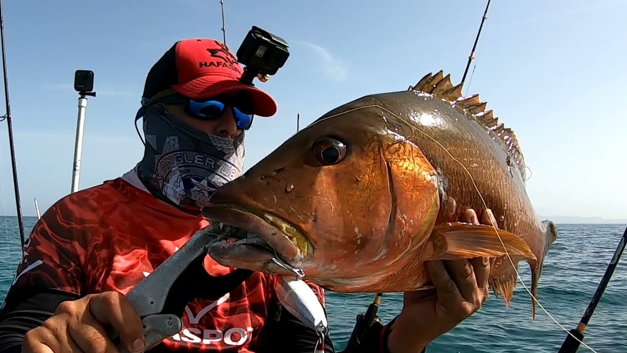 Mi primer Pargo (dog snapper) con señuelos topwater - YouTube