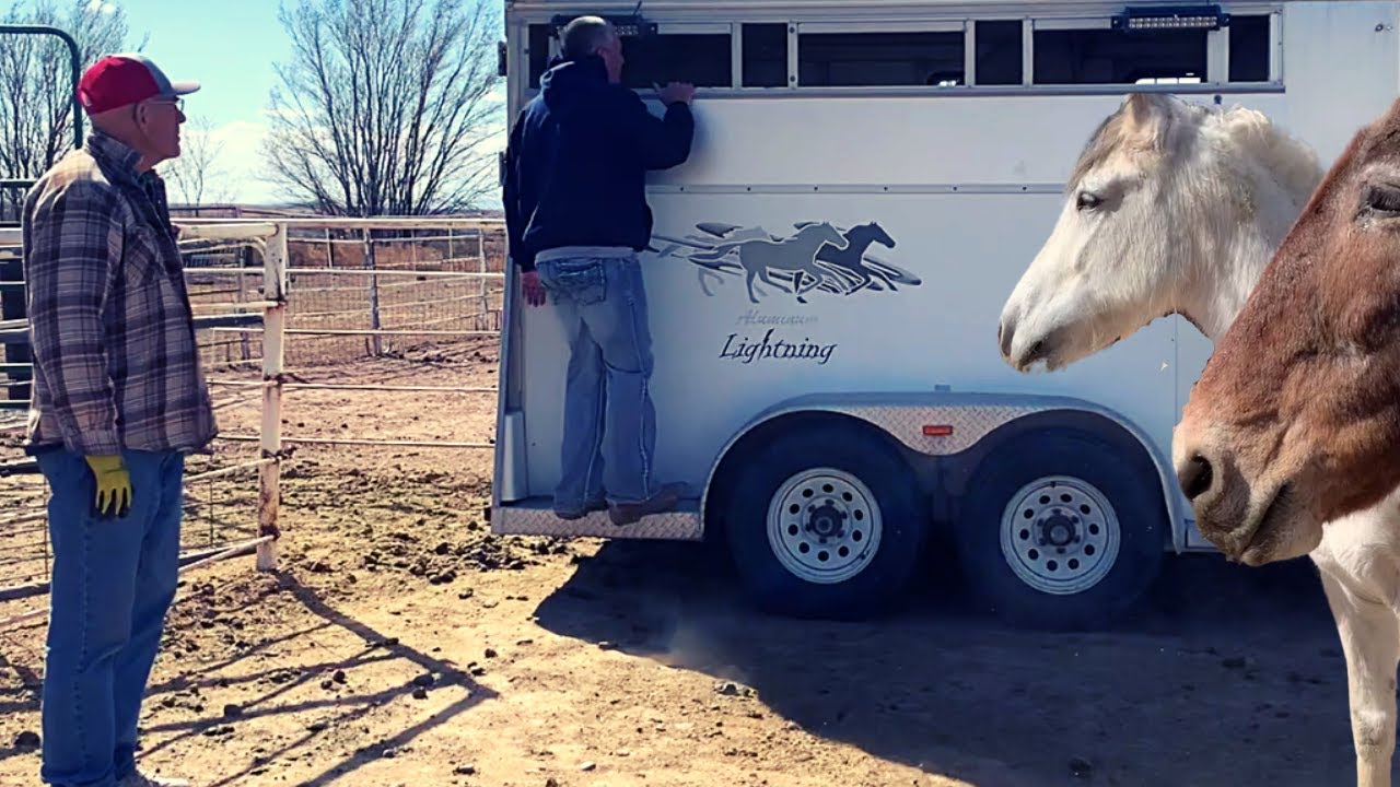 HE'S LEAVING THE FARM! | SAYING GOODBYE IS HARD - YouTube