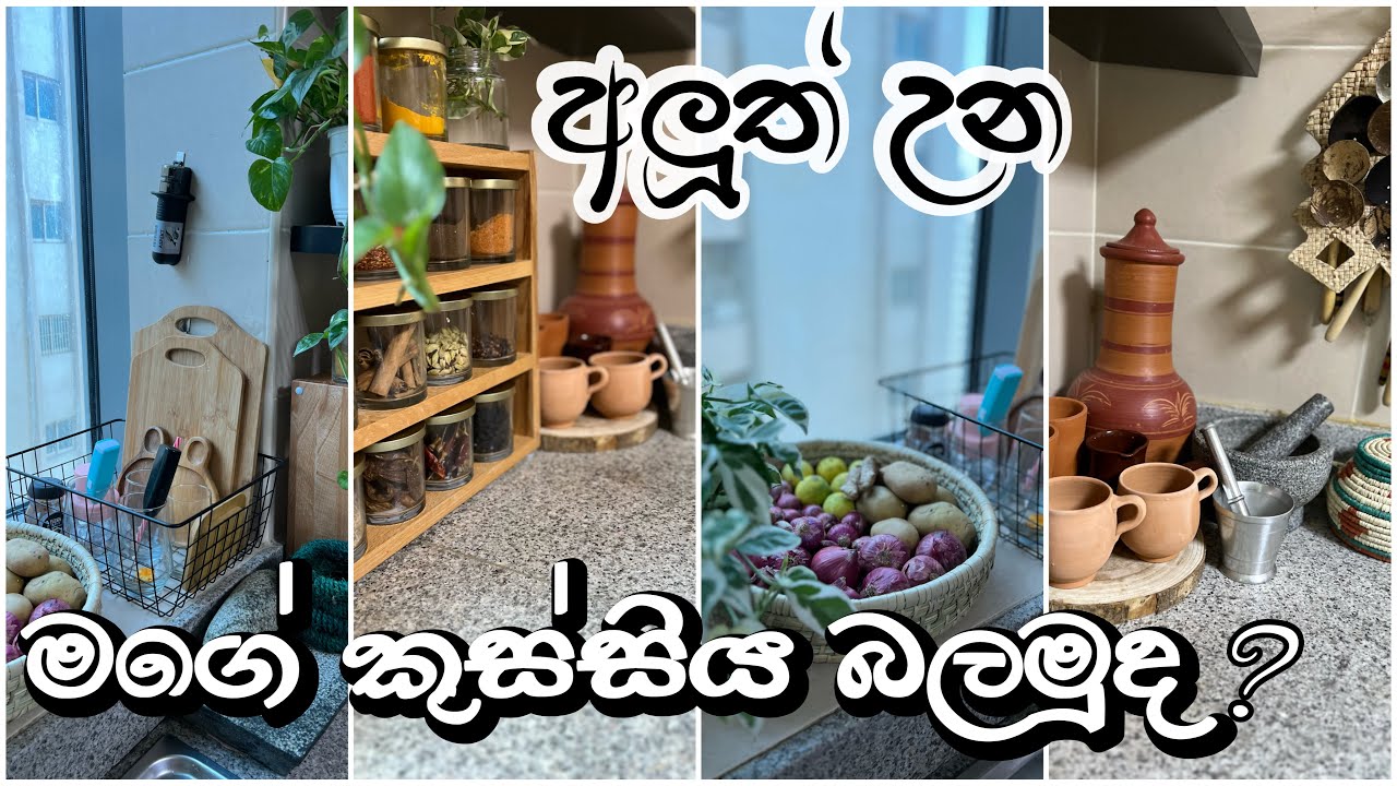 My kitchen ~අලුත් අවුරුද්දට වෙනස් උන මගේ කුස්සිය🫣 - YouTube