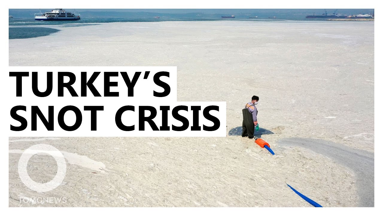 Turkey Fights Back Against ‘Sea Snot’ Invasion - YouTube