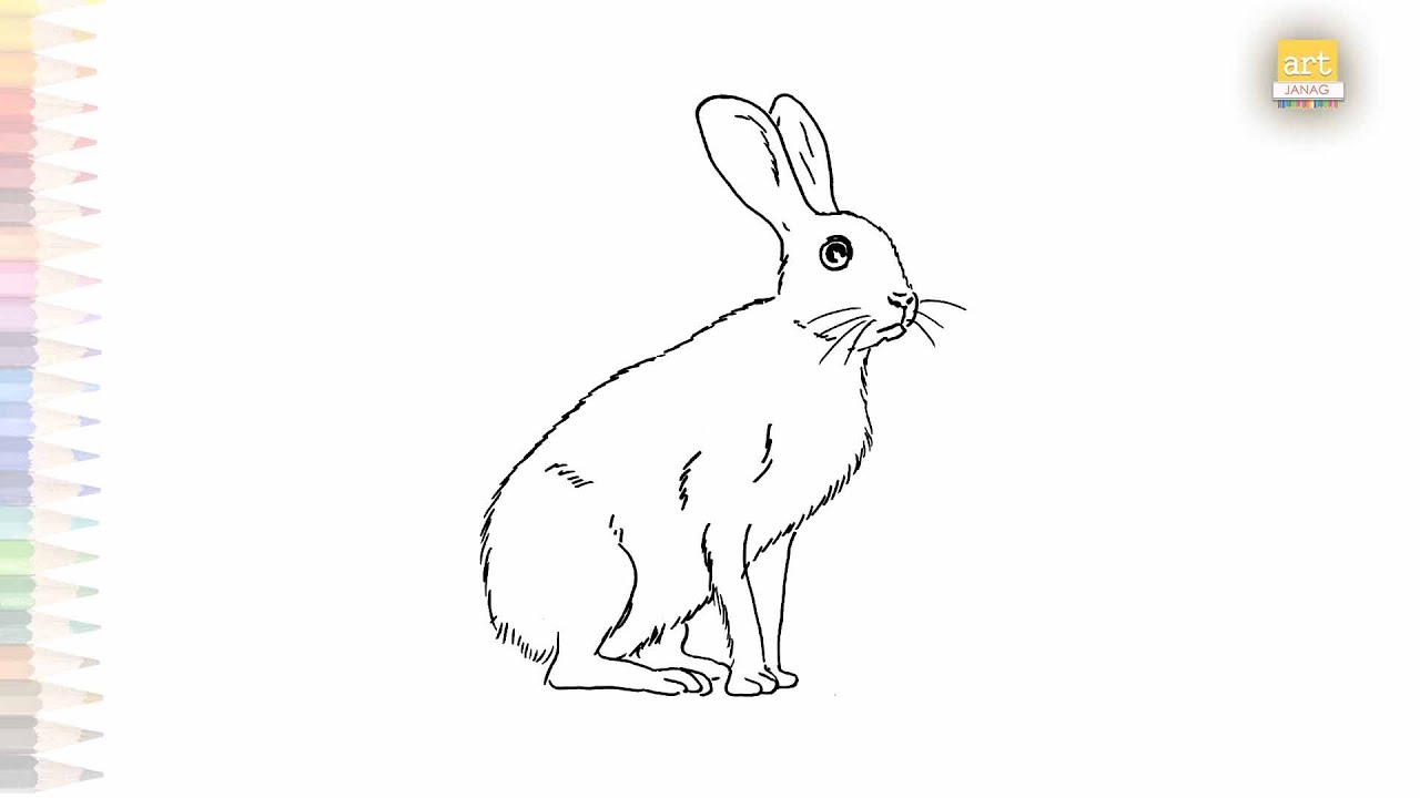 Hare drawings | Rabbit drawings easy | Animal art | How to draw forest ...