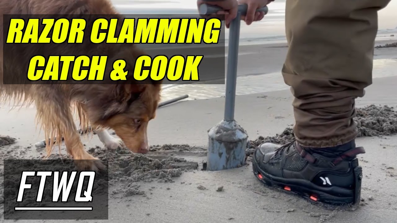 Razor Clamming In Oregon! Foraging Razor Clams - Coastal Catch and Cook ...