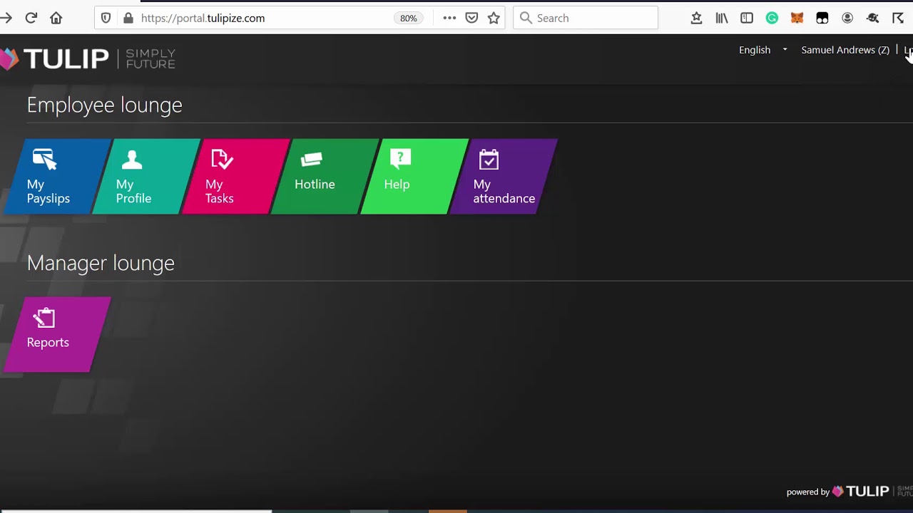 TULIP T&A module - short overview - YouTube