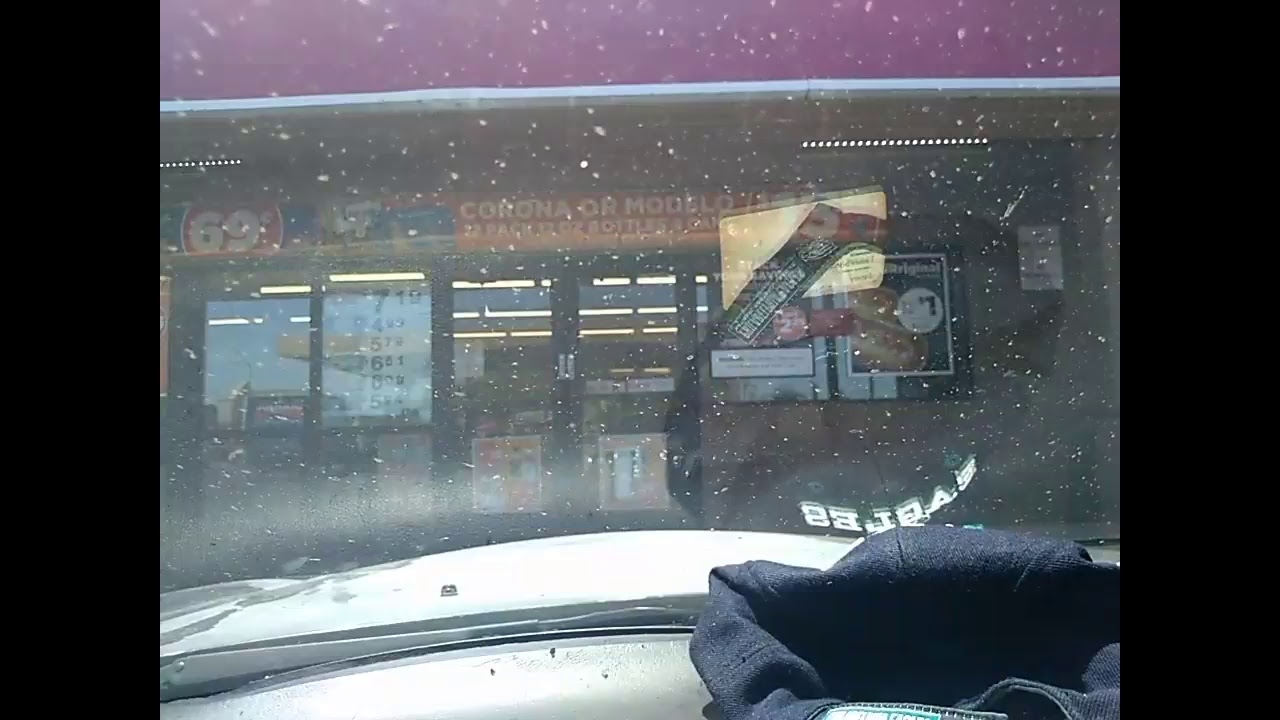 hey turtle - YouTube