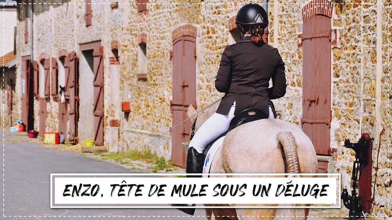 Concours - ENZO, TÊTE DE MULE SOUS UN DÉLUGE 😞 - YouTube