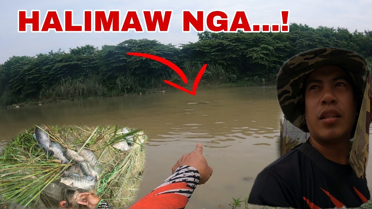 HABANG MAG ISA AKO NANGINGISDA PINAKITAAN AKO NG HALIMAW SA ILOG - YouTube