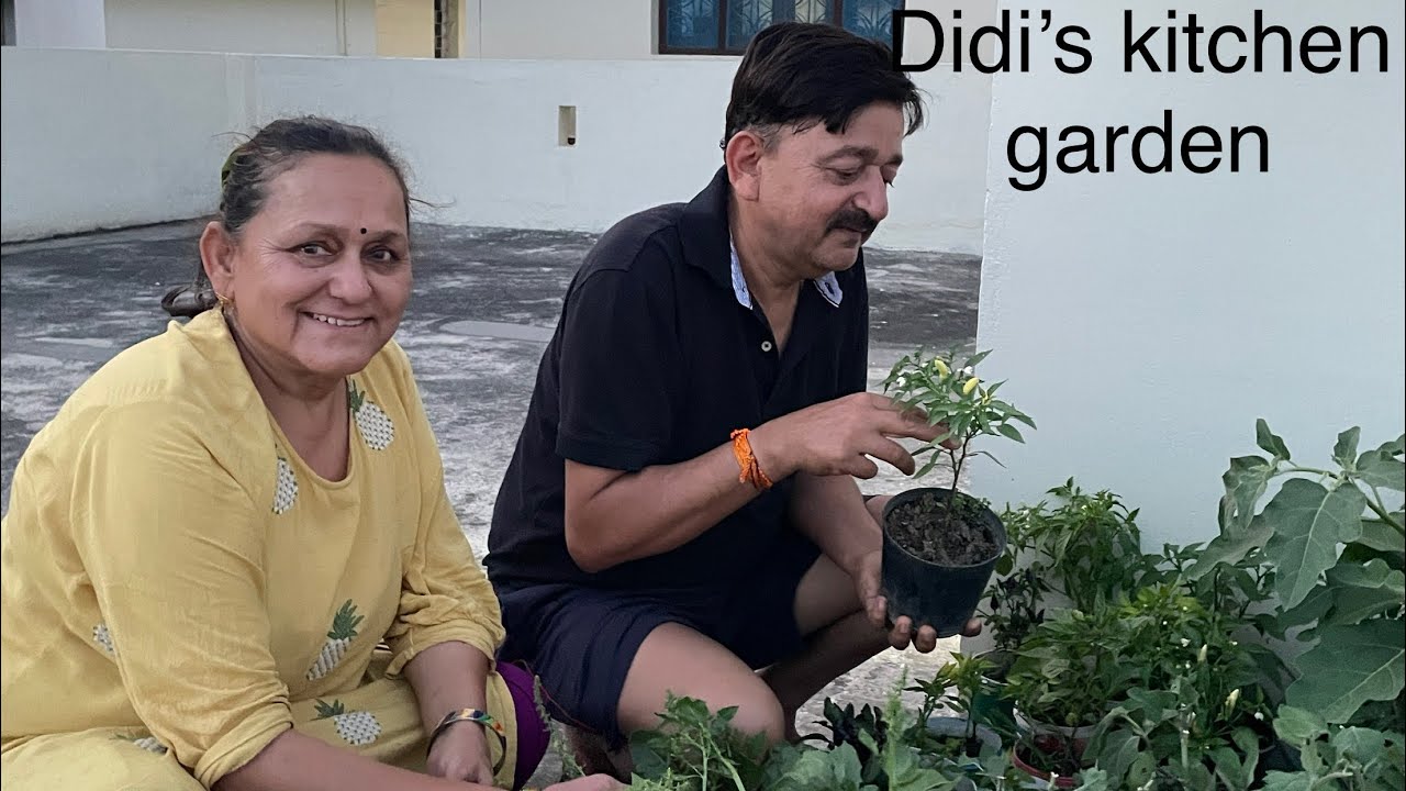 #inspiration #my Didi’s kitchen garden||मेरी दीदी मेरी किचन गार्डन के ...