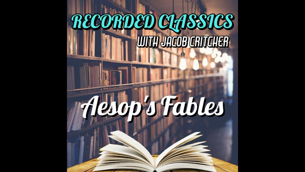 6 - The One-Eyed Doe - YouTube