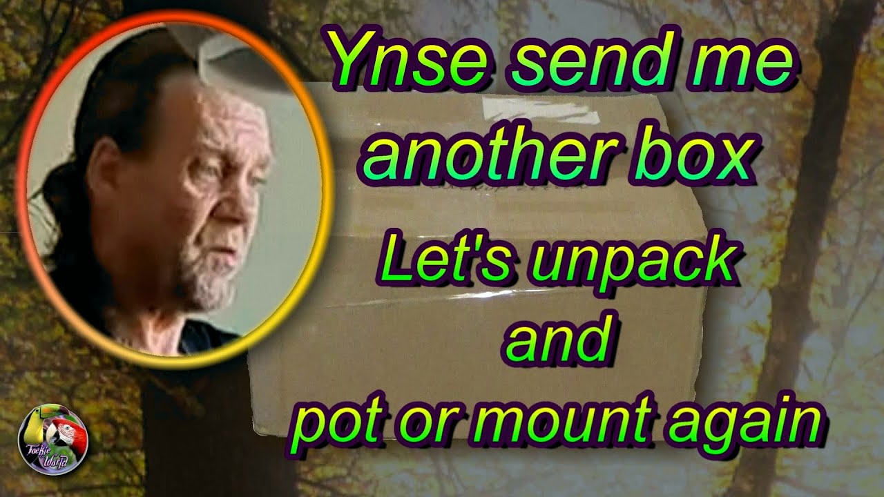 Ynse send me another box - Let's unpack and pot or mount again some ...