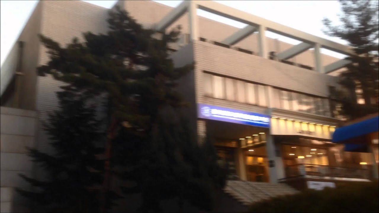 Korea Tour. HongDae(HongIk University) area. part 1. Jan. / 홍대 / 弘大 ...