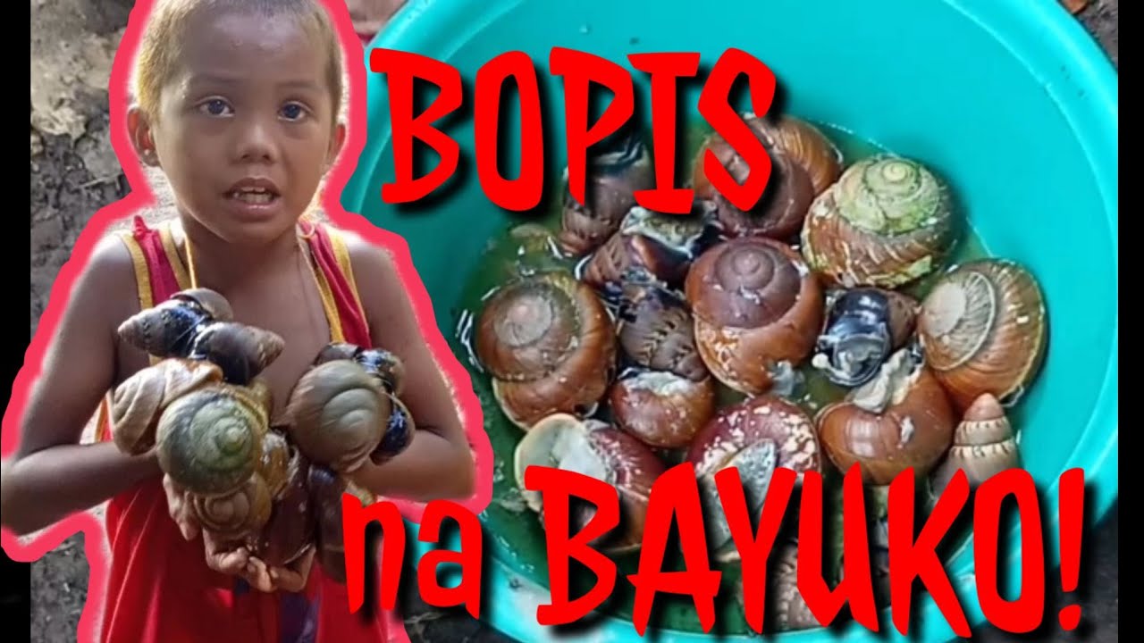 Buhay probinsya - Nag luto Ang kuya ko ng BOPIS na BAYUKO Ang sarap ...