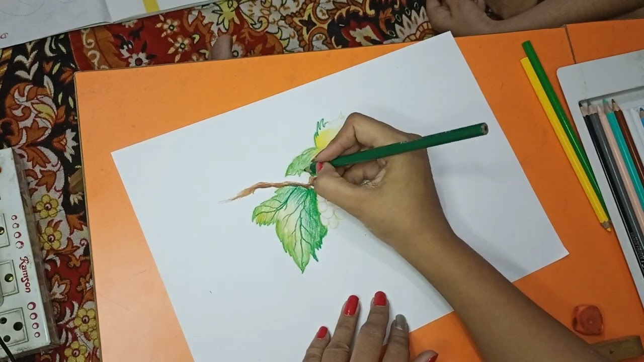 How to draw grapes with pencil colour|| Easy drawing for Beginners ...