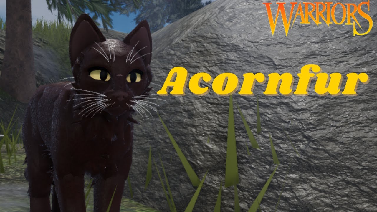 Warrior Cats Character Challenge: #1 - Acornfur - YouTube