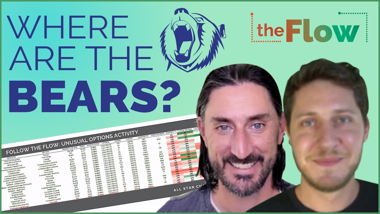 The Flow: Where Are The Bears? - YouTube