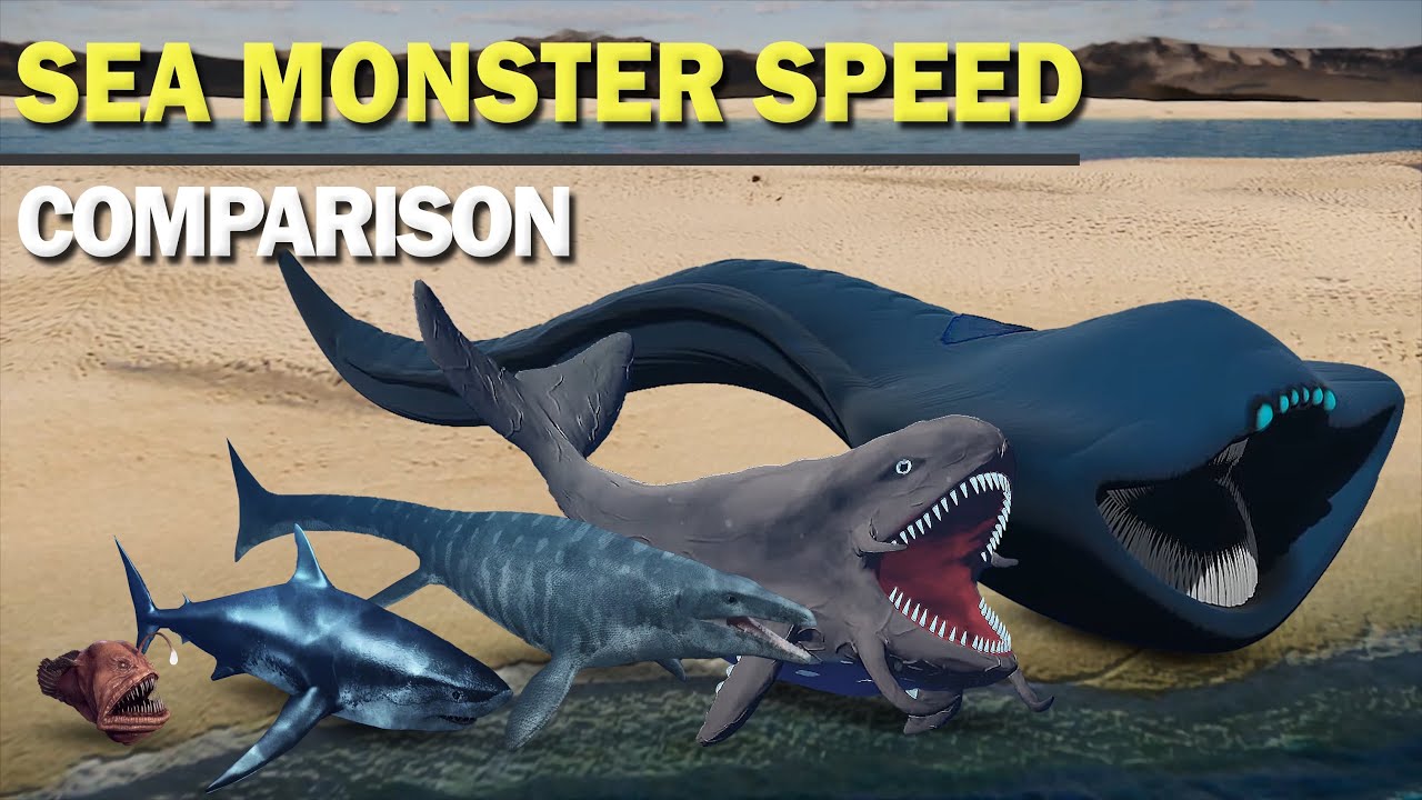 3D Sea Monsters Size Comparison | BLOOP Vs ELGRAN MAJA Vs SCP 169 🐋 ...