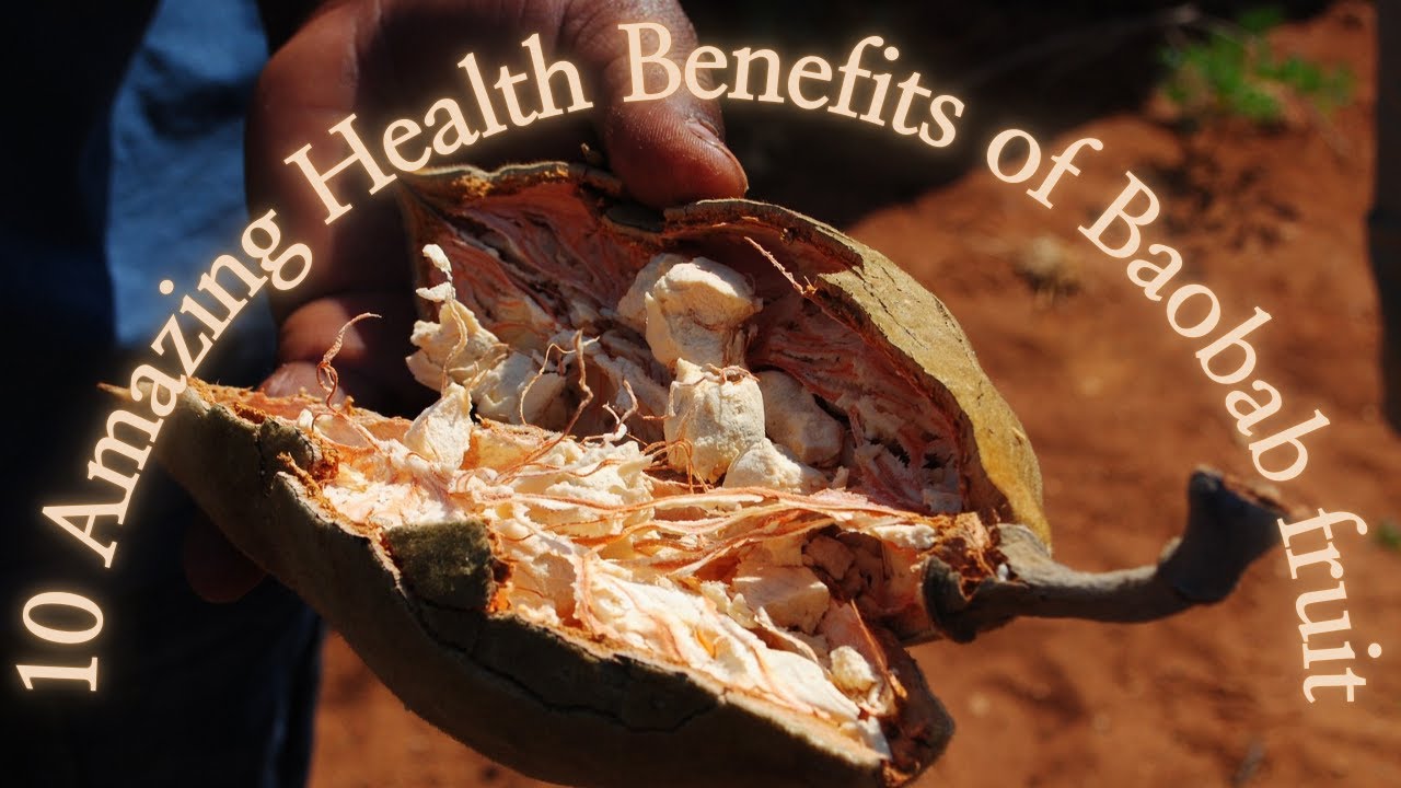 10 Amazing Health Benefits of Baobab fruit - YouTube
