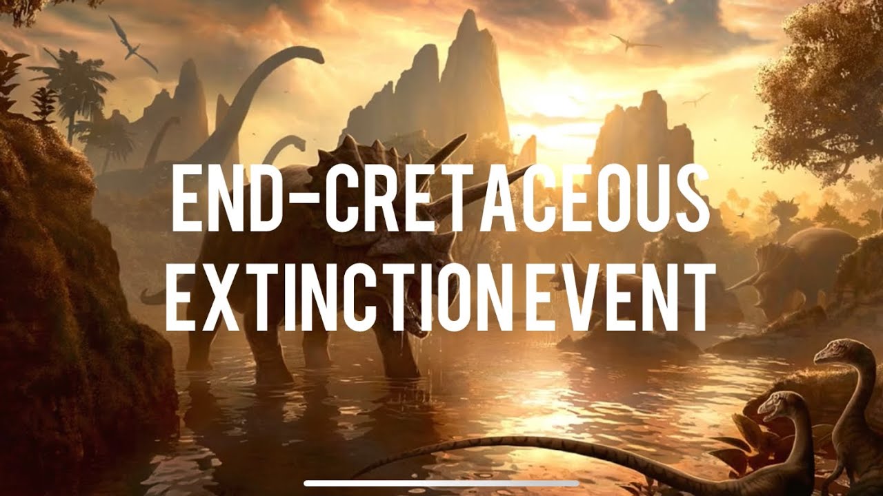 What Happened in the End-Cretaceous Extinction? - YouTube