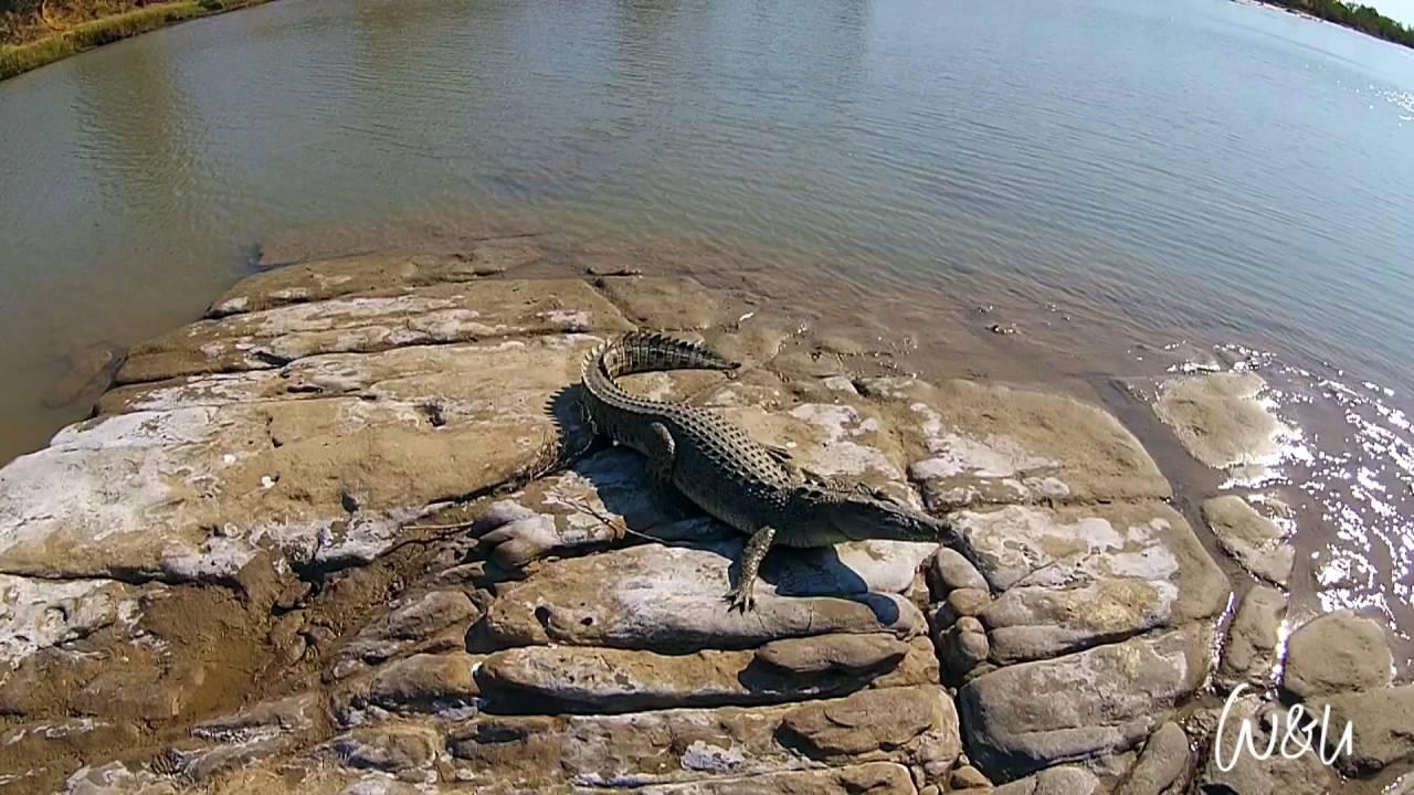 Winch & Unwind - No swimming today, Big Crocs are looking hungry - YouTube