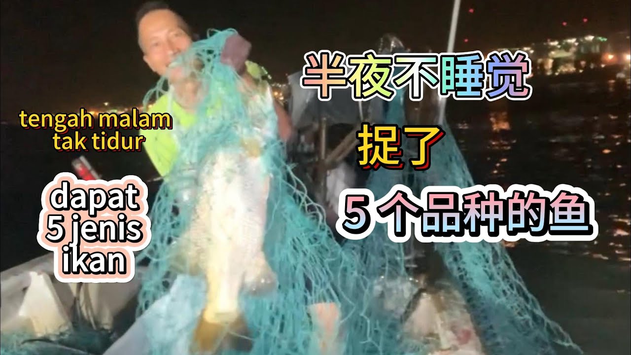 #57 半夜不睡觉 | 在海上捉了 【 5个品种鱼 】.....find fish in the night [ fishing net ...