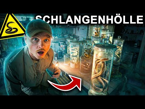 DIE SCHLANGENHÖLLE VON JAPAN! WERDEN WIR ERWISCHT? 😳 LOST PLACES JAPAN! #007