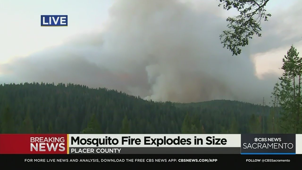 Mosquito Fire burning east of Foresthill putting up a lot of smoke ...