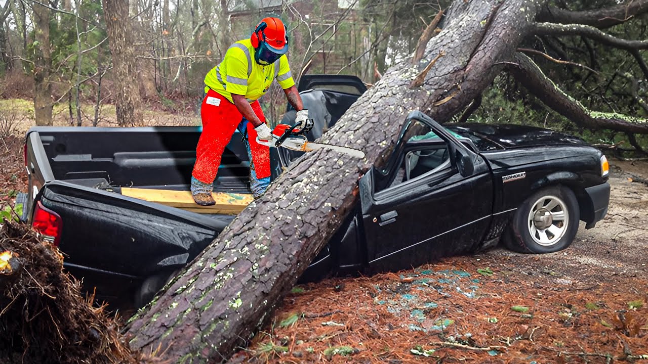 25 Disastrous Tree-Falling Skills by Idiots With Big Chainsaw | Tree ...