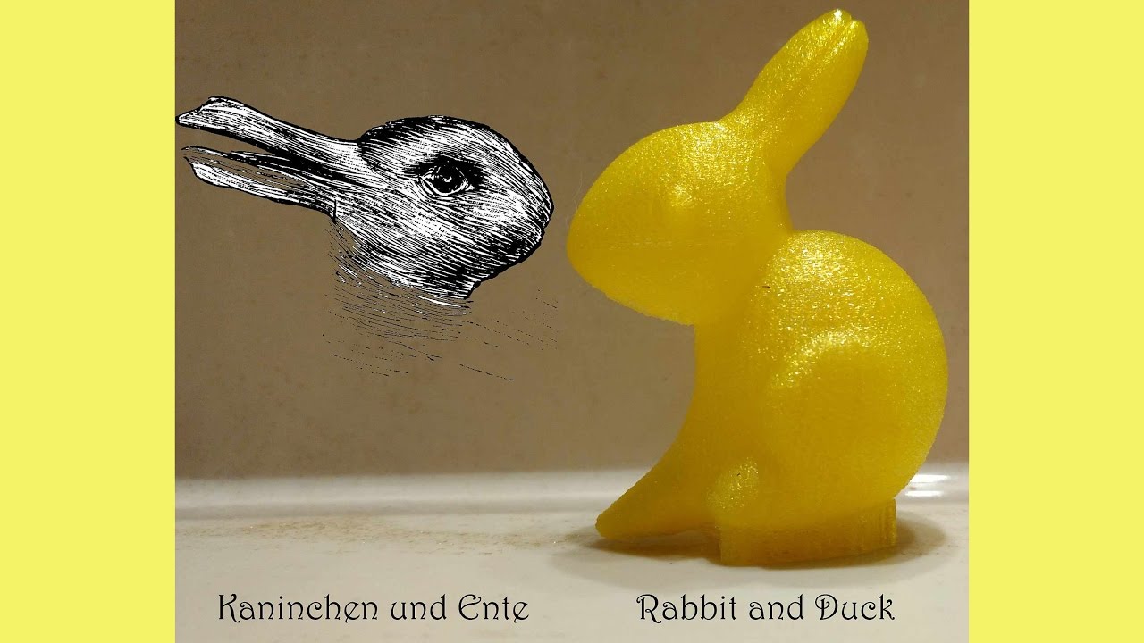 Rabbit and Duck Illusion in 3D - YouTube