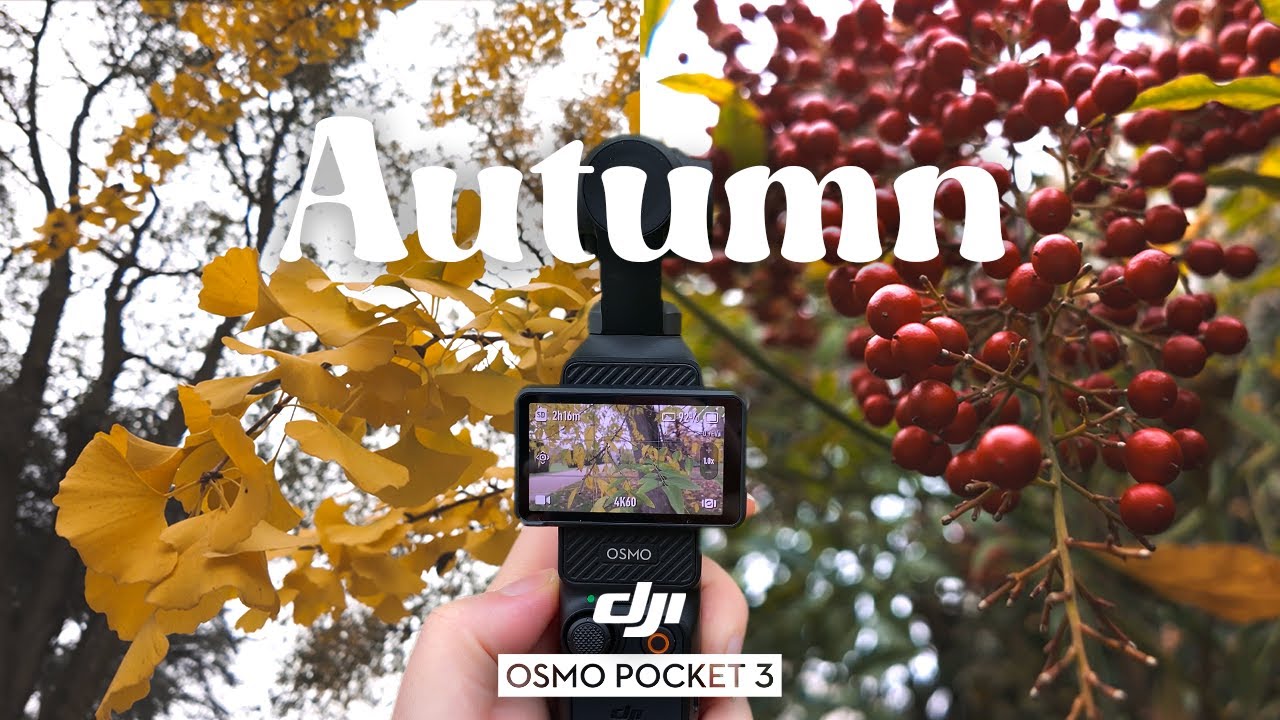 Autumn is in the air | Cinematic Walk | DJI Osmo Pocket 3 | 4K - YouTube