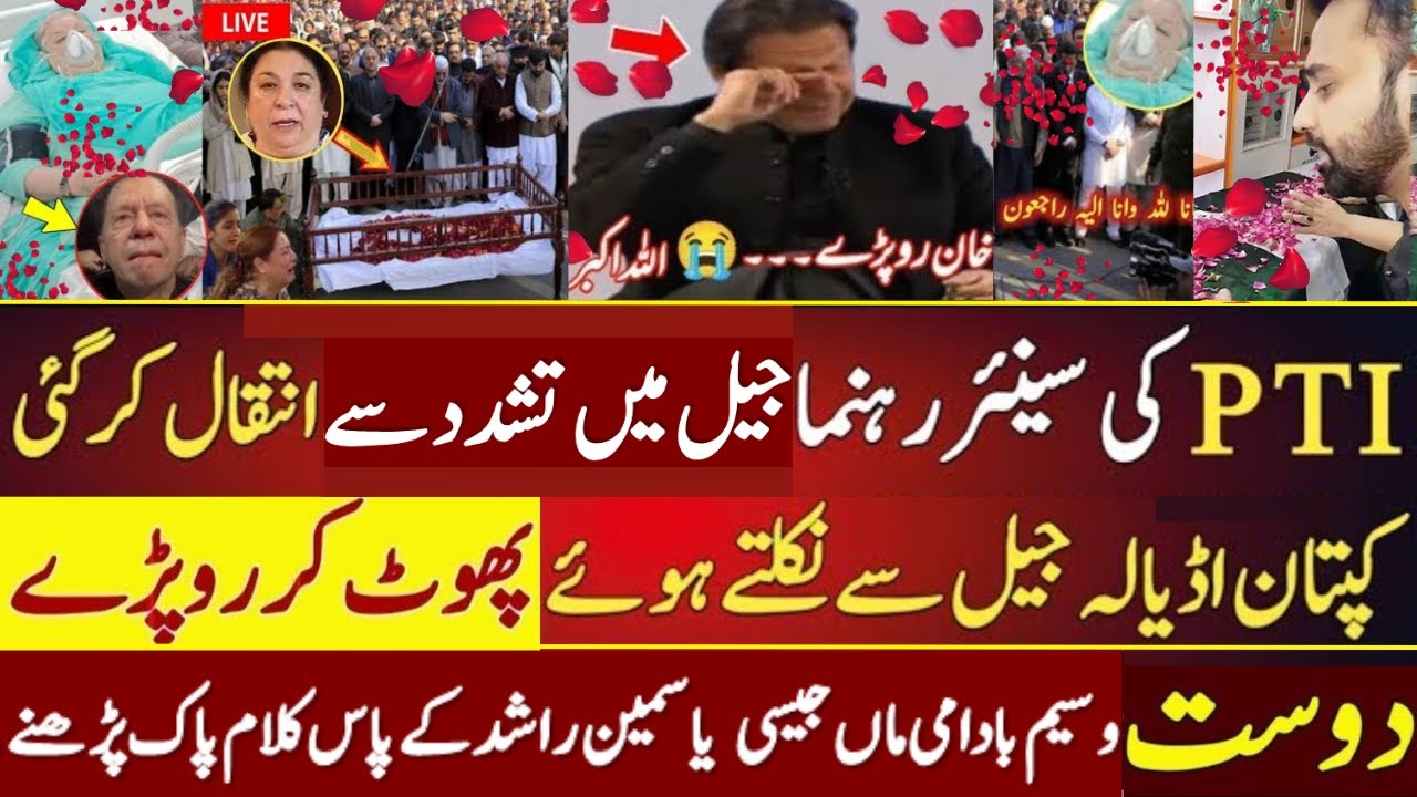 Imran Khan A Beautiful Tribute After Release PTi Member Dr Yasmin ...