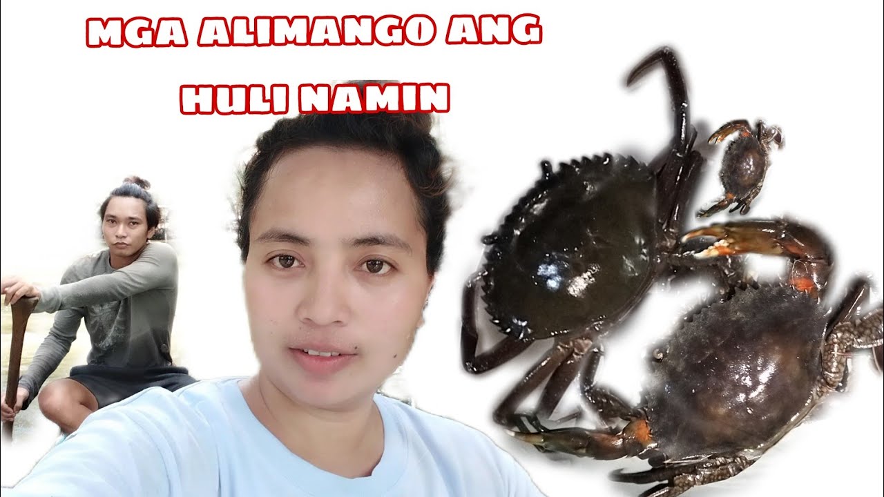 PAG PAPAIN SA ILOG NAKAHULI NG MALAKING ALIMANGO - YouTube