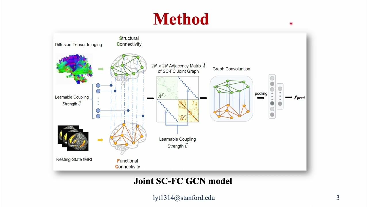 Joint Graph Convolution for Analyzing Brain Structural and Functional Connectome - MICCAI 2022 ...