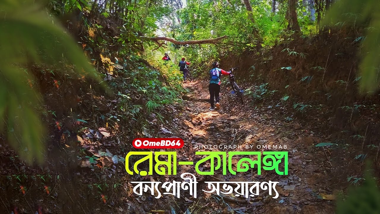 Exploring Rema Kalenga | Cycling Through Bangladesh's Hidden Forest ...