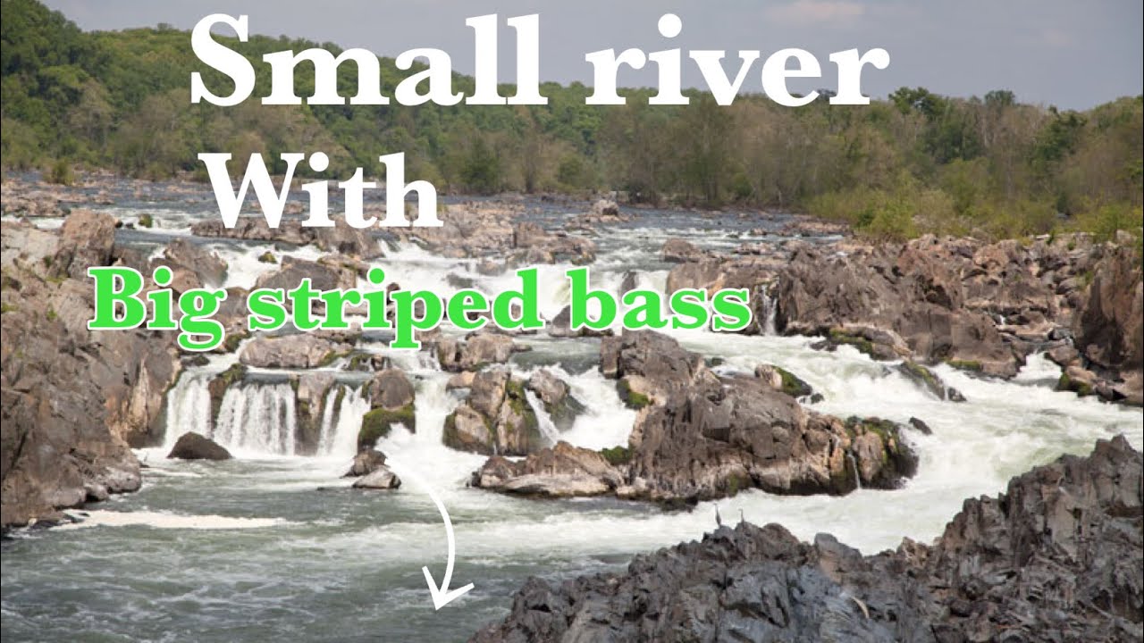 River fishing for BIG STRIPED BASS with BIG JIGS and NLBN ( TROPHY ...