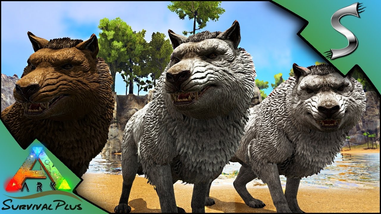 DIREWOLF TRUST TAME! COOL NEW METHOD OF TAMING! - Ark: Survival Plus ...