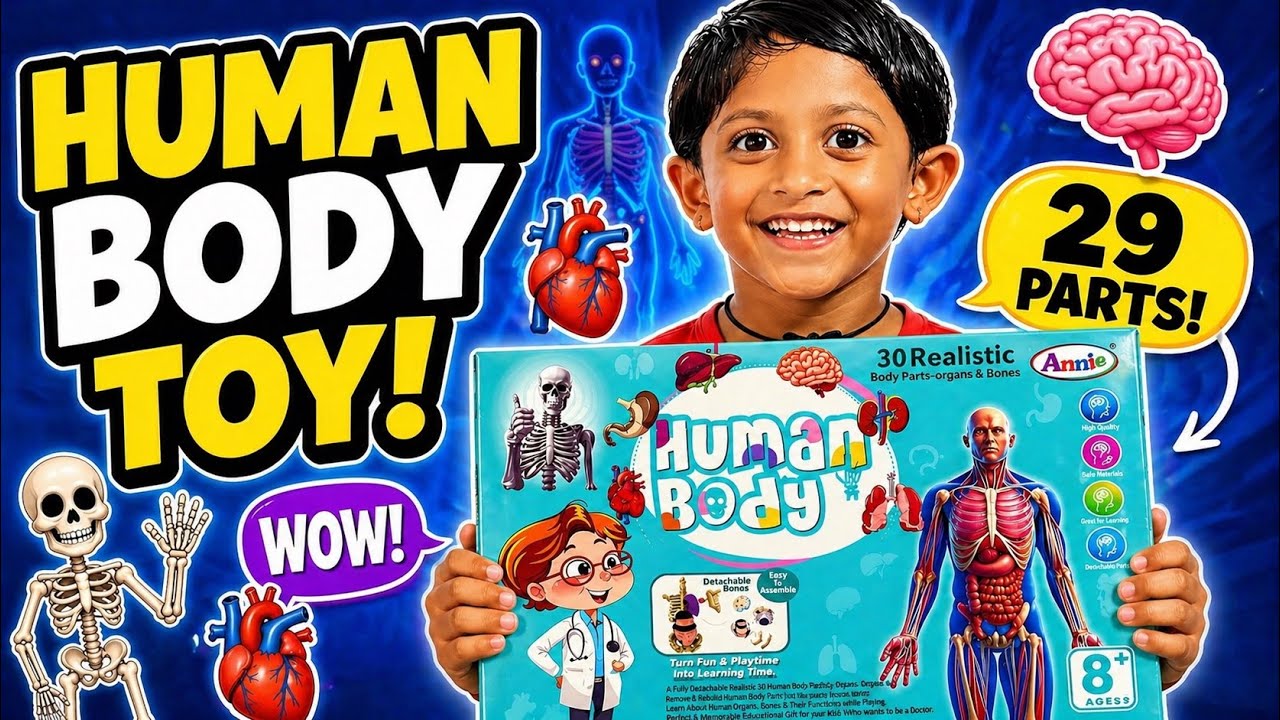 Human Body Toy Unboxing for Kids | 29 Parts Learning Toy 🧠 ️ | LITTO ...