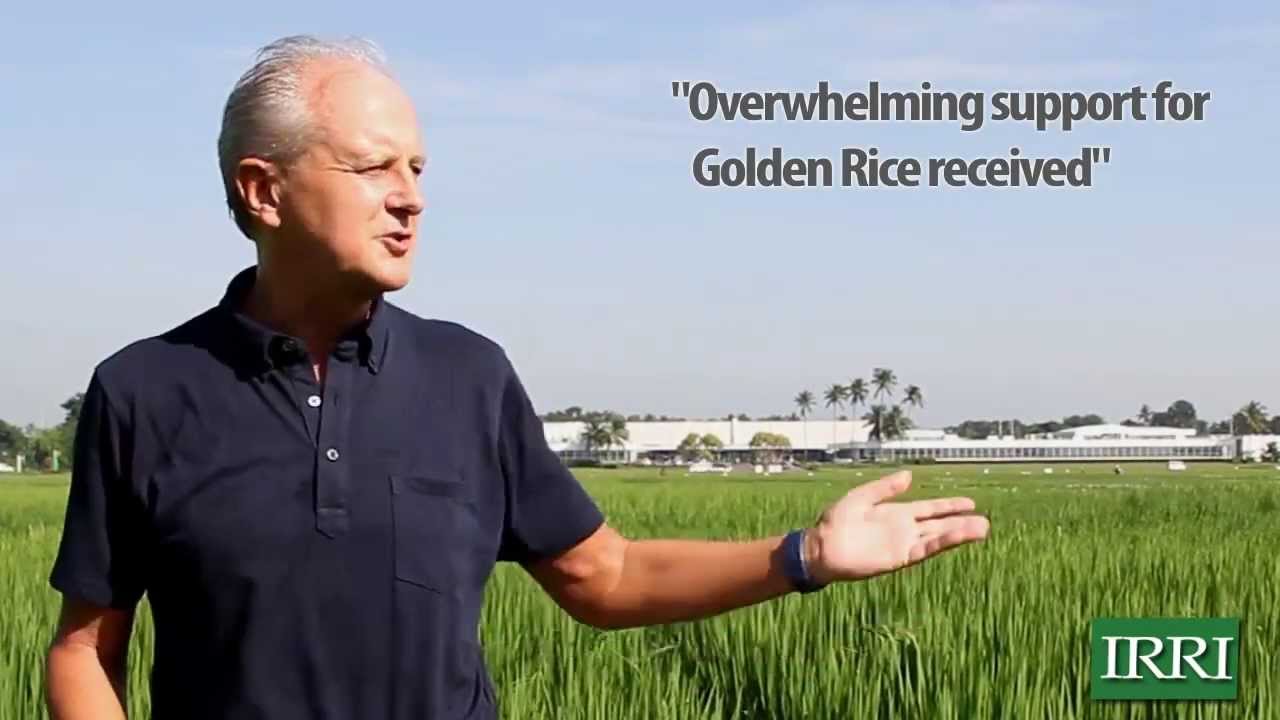 Overwhelming support for Golden Rice research - YouTube