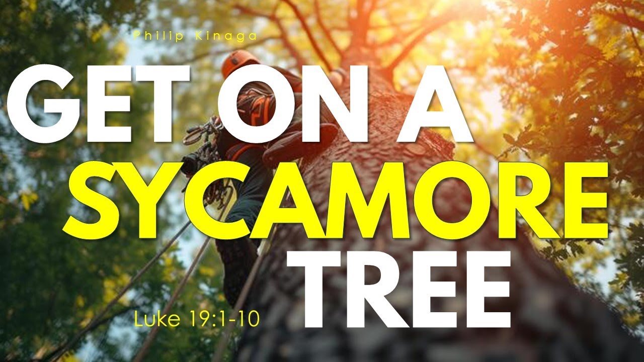 GET ON A SYCAMORE TREE | SUNDAY EVENING 5:00PM SERVICE | 26.01.2025 ...