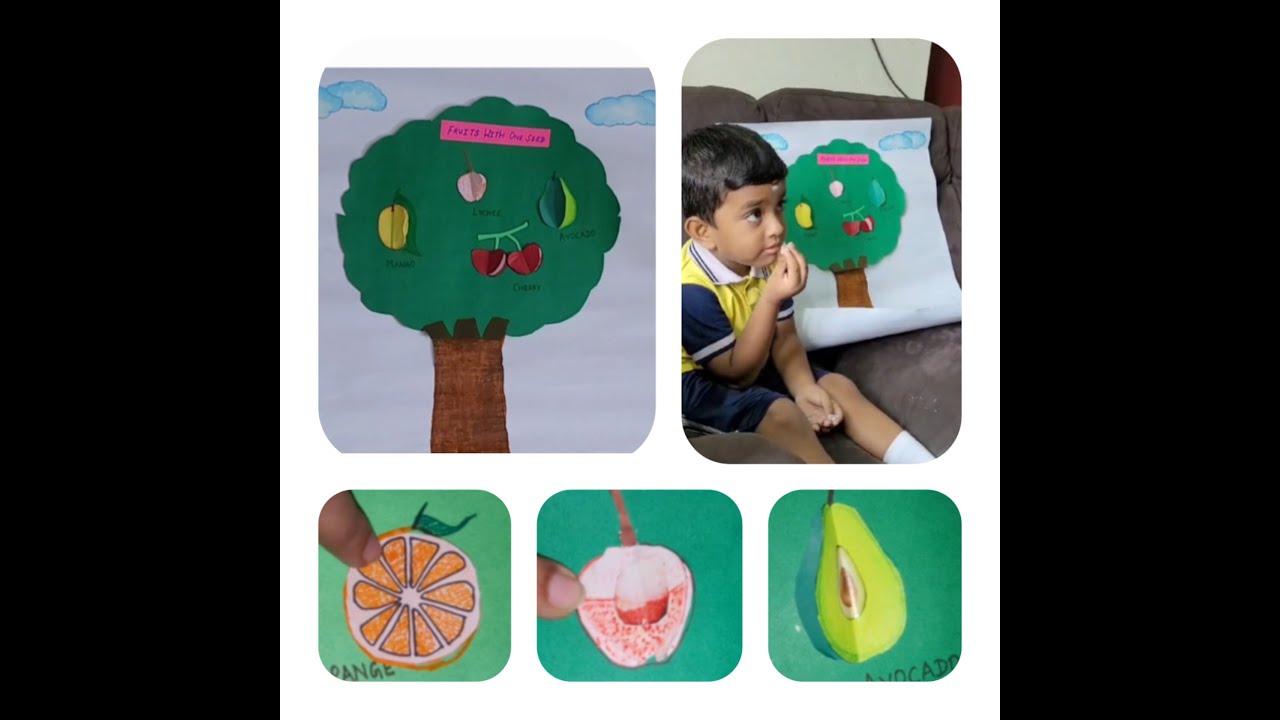 Seeded fruits school project || Fruits with one seed, few seeds, many ...