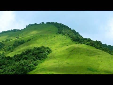 Paithalmala | Paithalmala trekking | Places to see in Kerala | Misty ...