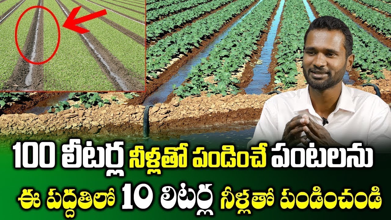 Low Water Farming Techniques by Achyuth Reddy | Summer Crops with Less ...
