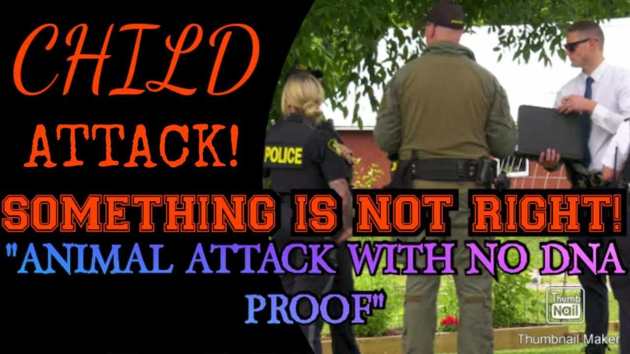 CHILD ATTACKED IN QUADEVILLE, ONTARIO. . ( SOMETHING SEEMS OFF) - YouTube