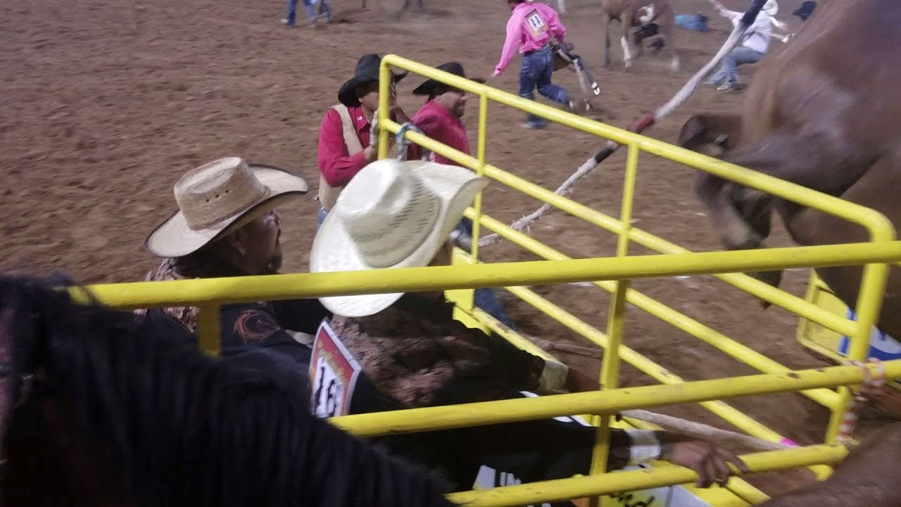 Wild Horse Race 2018 Window Rock Fair TEAM HACEESA - YouTube